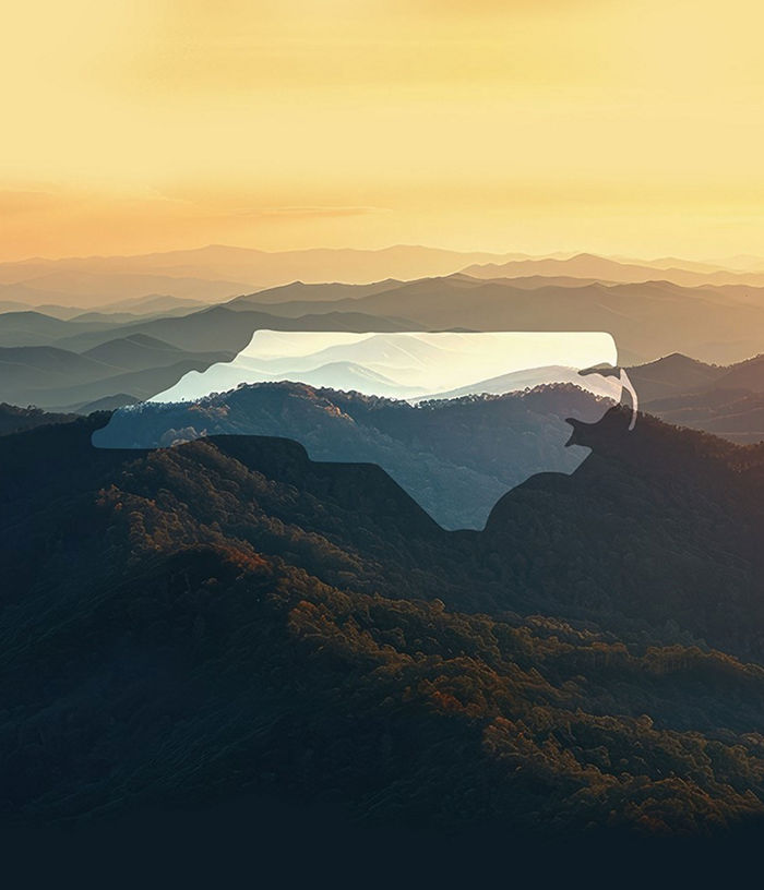 Hurricane Helene Relief | Blue Cross NC