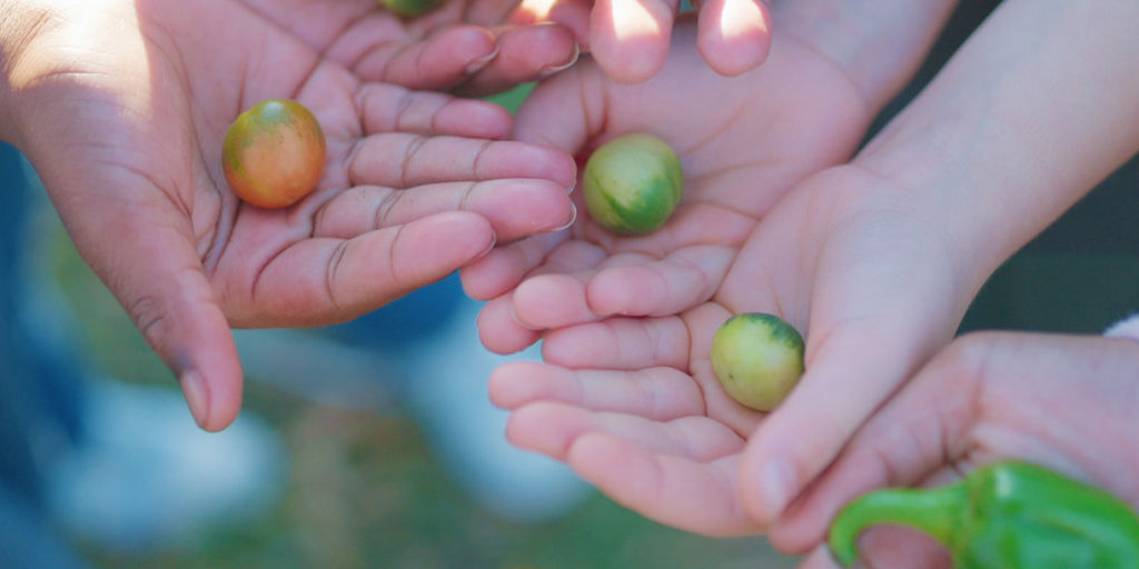 Fueling change: How food is powering health across North Carolina ...